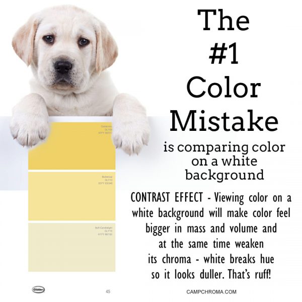 How To Paint Color Samples